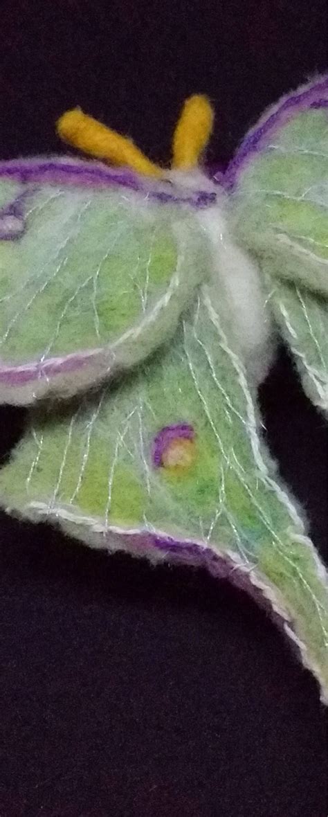 Luna Moth New Soft Sculpture Needle Felted Insect Fibreart Art