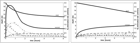 Comparison Of Nitrogen Elimination Rates In Different Saturation Download Scientific Diagram