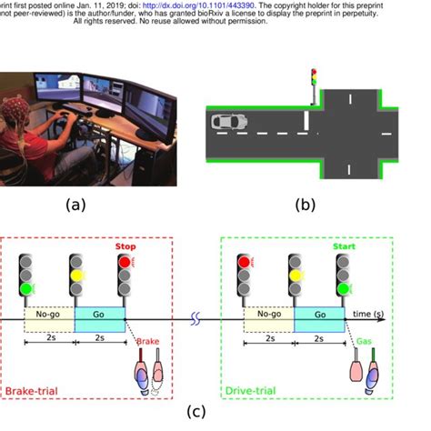 64 Eeg Electrodes Layout Extended 10 20 International Download Scientific Diagram