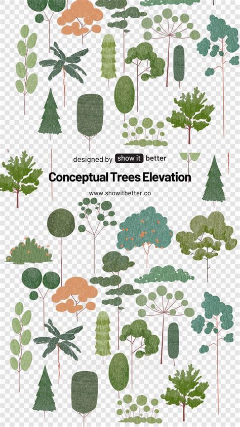Conceptual Trees Elevation Conceptual Architectural Trees Tree