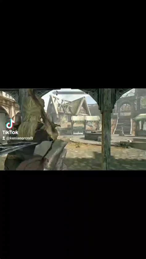 Bugs Rskyrim