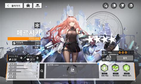 뉴럴클라우드 페르시카 완벽투영