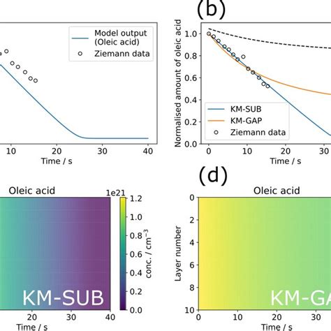 model optimisation to experimental data from ziemann ziemann 2005