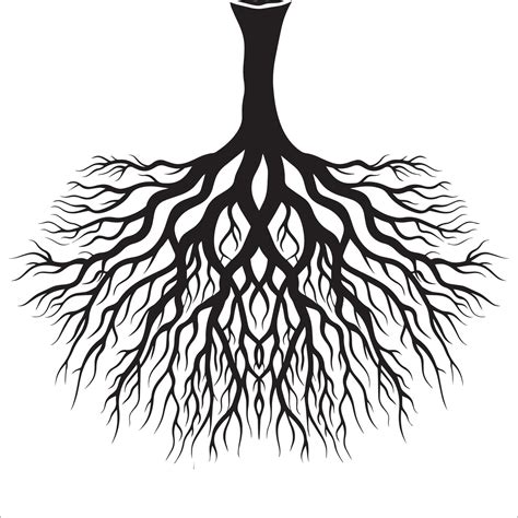 Simple Black And White Illustration Of A Tree Roots 46447510 Vector Art