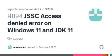 Jssc Access Denied Error On Windows 11 And Jdk 11 · Issue 894