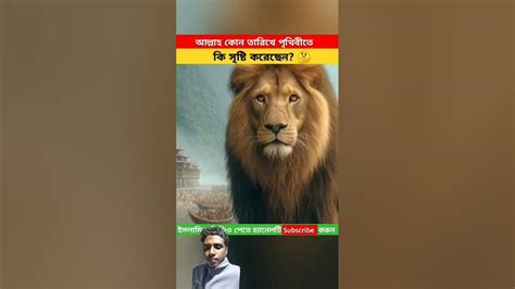 আল্লাহ কোন দিনে কি সৃষ্টি করেছেন জেনে নিন Islamicstatus Youtubeshorts