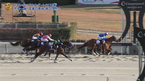 【競馬】チャンピオンズカップはレモンポップが逃げ切って勝利！史上4頭目の同一年春秋ダートg1制覇！【ウマ娘民の反応】 ウマ娘うまぴょい速報