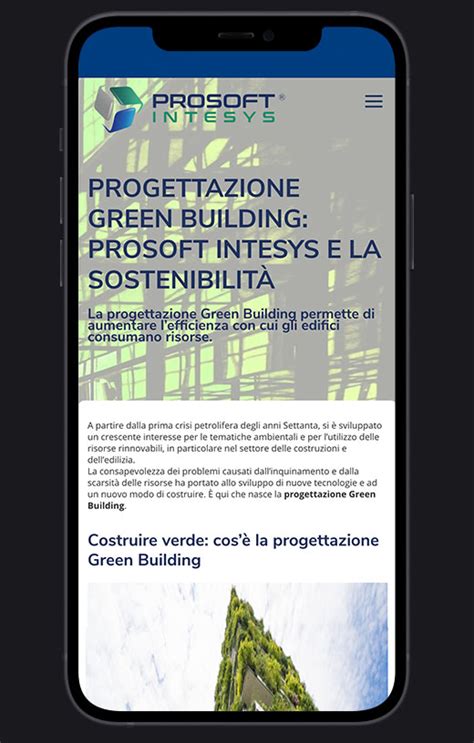 Prosoft Intesys • Gmg Net Digital Agency