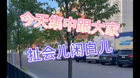 来加拿大的人为什么不愿承认真实的加拿大是什么样为什么总喜欢报喜不报忧 YouTube