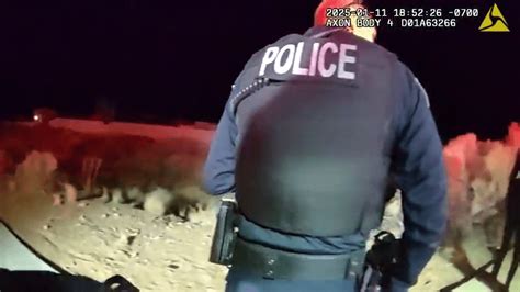 Video Domestic Dispute Turns Into Shooting With Rio Rancho Police