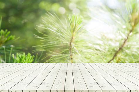 흐림 자연 배경 위에 위에 관점 흰색 나무 테이블을 사용할 수 있습니다 모의 몽타주 제품에 대 한 표시 또는 레이아웃 디자인 0명에 대한 스톡 사진 및 기타 이미지 Istock