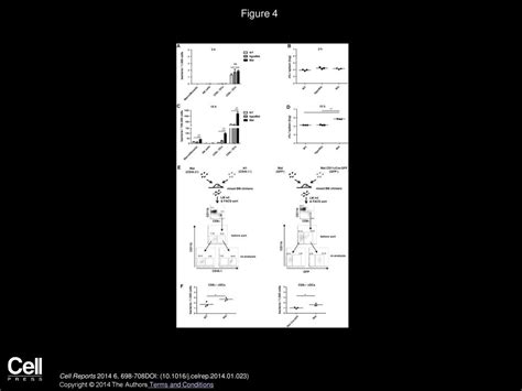 Volume 6 Issue 4 Pages February 2014 Ppt Download