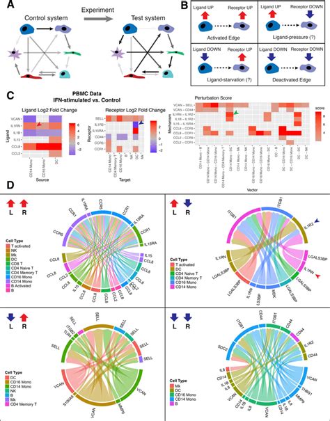 Differential Tissue Connectomics A Schematic Showing Comparison Of A