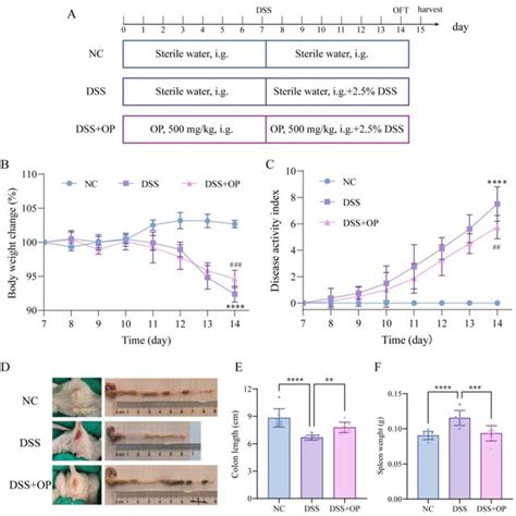 Ops Alleviate Dss Induced Colitis A Experimental Protocol B Download Scientific Diagram