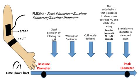 Flow Mediated Dilation Fmd Nonitric Oxide Download Scientific