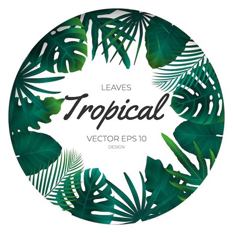 여름 열 대 나뭇잎 템플릿 배경 프리미엄 벡터