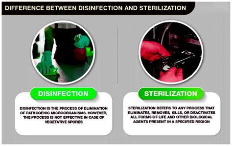 Difference Between Disinfection And Sterilization Testbook