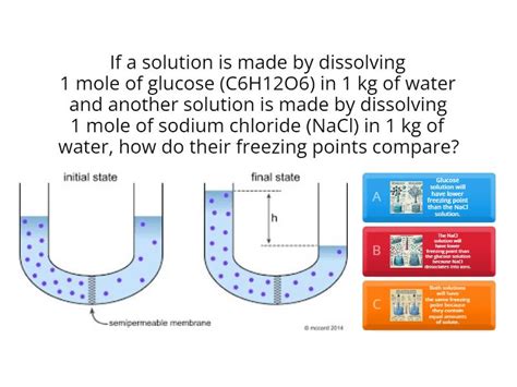 Osmotic Equilibrium Quiz