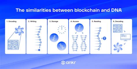 ankr blog