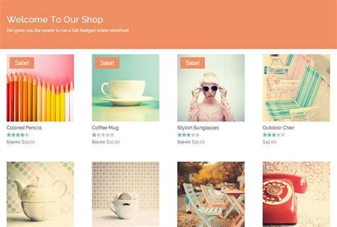 Divi Theme The Complete Guide To Divi Modules Divi Theme Website Themes Elegant Themes