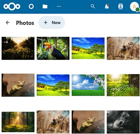 Install Nextcloud On Ubuntu 2404 Lts Complete Guide