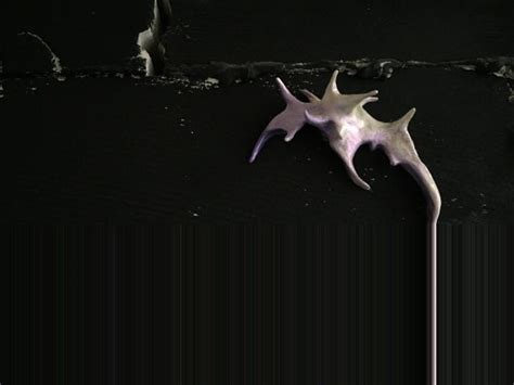 Совсем скоро в Москве начнётся Moscow International Experimental Film Festival