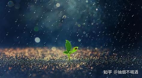 学历高上岸就容易吗博士考公务员有优势吗 知乎