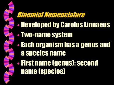 Taxonomic Key Powerpointppt