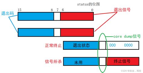 【linux】进程等待 站长快讯 主机测评