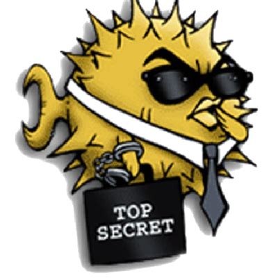 How To Install Openssh On Windows Fred