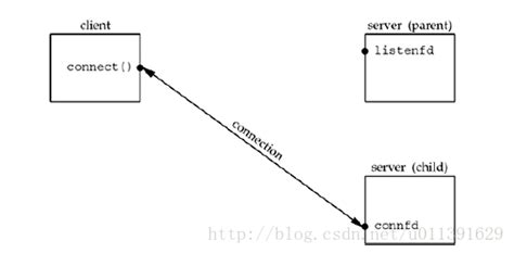 Socket中close和shutdown区别socketclose Csdn博客