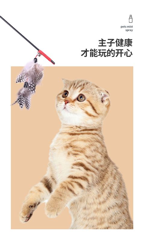 驱猫喷雾橘子味防止猫咪上床神器禁区讨厌的乱拉尿喷雾剂室外长效 阿里巴巴