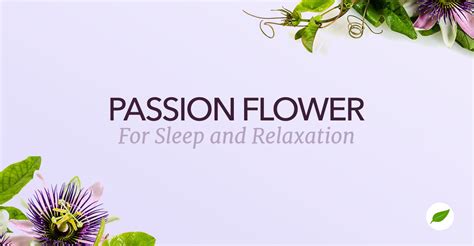 Passion Flower Extract For Relaxation And Sleep Support Nhc