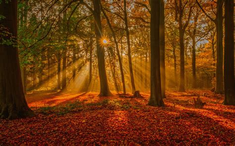Autumn Flickr