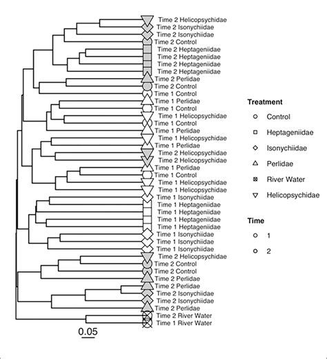 Upgma Diagram Based On Lower Eukaryotic 18s Bray Curtis Distances