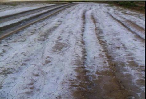 Salt Affected Soil In The Experiment Area Download Scientific Diagram