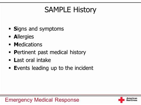 Sample Health History Peterainsworth