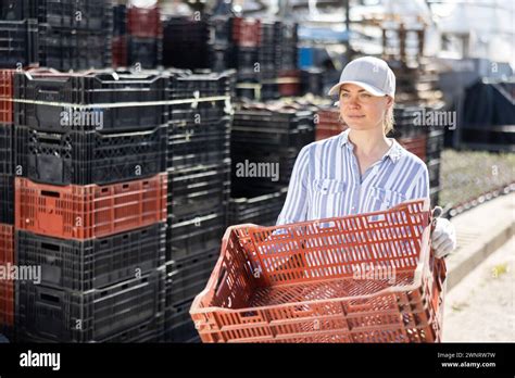 Woman Stacking Plactic Crates In Greenhouse Stock Photo Alamy
