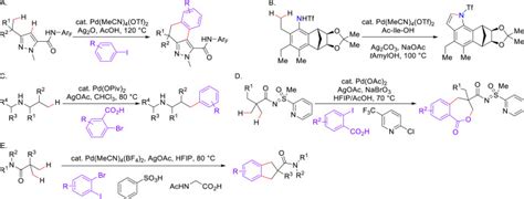 Palladium Ii Catalyzed Cascade Reactions Initiated With Directed Activation Of Unactivated Sp3