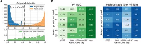 Model Performances On Predicting Translation Initiation Sites A Download Scientific Diagram