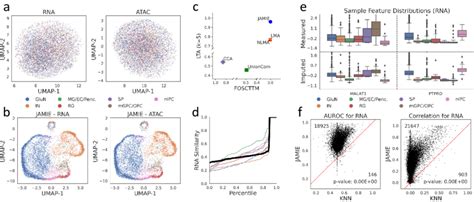 Gene Expression And Chromatin Accessibility Of Single Cells In The