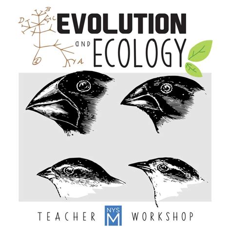 Evolution And Ecology Teacher Workshop The New York State Museum