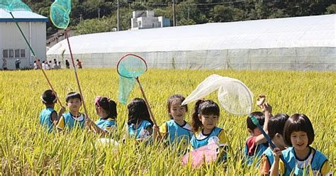 황금들녁 고추잠자리 잡아볼까