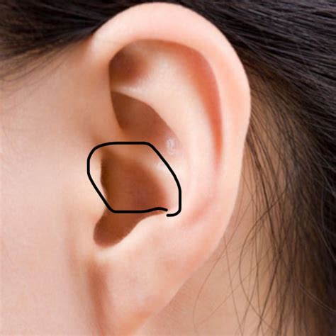 귀 안쪽 통증 지식in