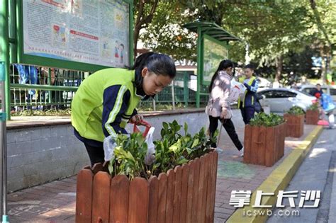 桂花社区绿意盎然 环保少年志愿小分队助力蓝天保卫战 雨花区 长沙晚报网