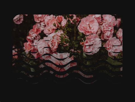 Svg点击切换图片，html图片切换动画模板 17素材网