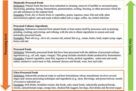 the nova framework and its association with diet quality nova