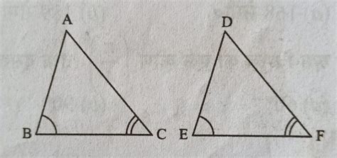 त्रिभुज से संबंधित प्रश्न Triangle Class 10 Extra Questions In Hindi
