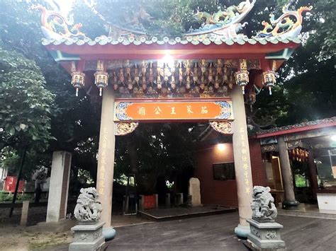 台中市區竟有千年神木？被封為台中之寶的茄苳樹王 茄苳樹王文化生態公園／均安宮 熱血台中