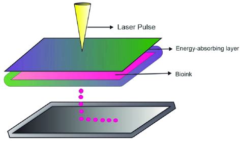 Laser Assisted Bioprinting Process Download Scientific Diagram